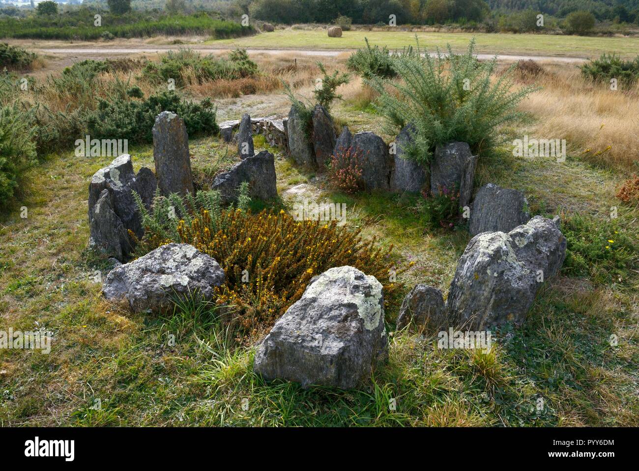 Landes de Cojoux, Saint-Just, Brittany, France. The restored ...
