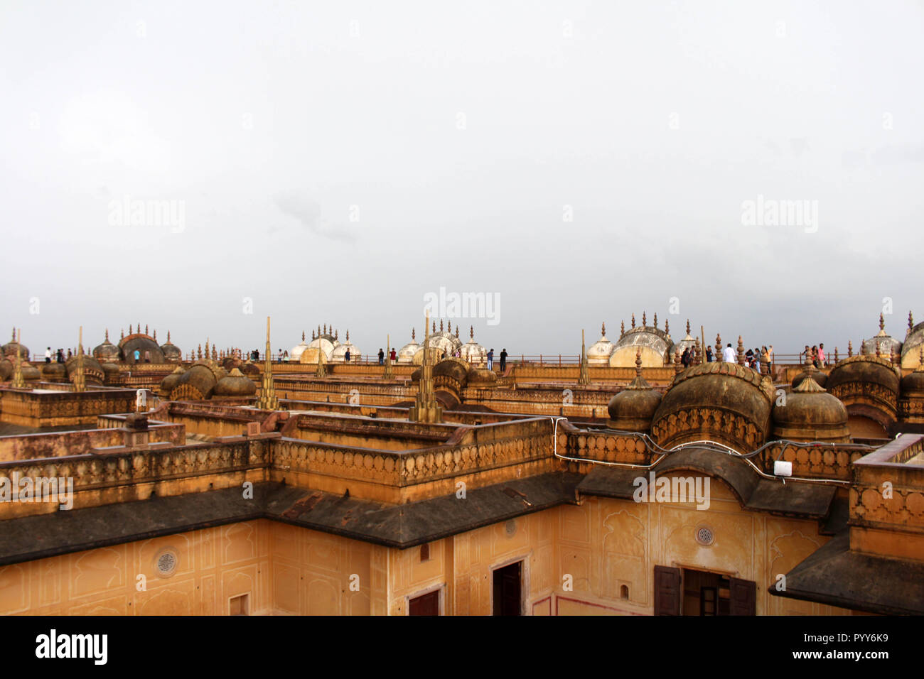 Roof terrace garden india hi-res stock photography and images - Alamy