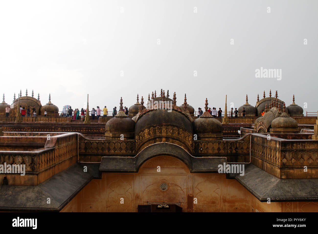Roof terrace garden india hi-res stock photography and images - Alamy