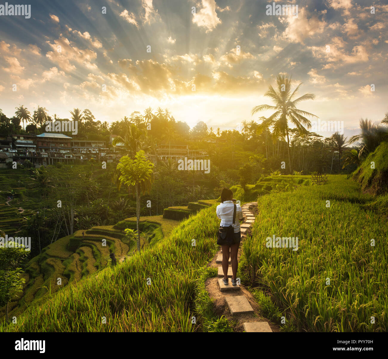 Ubud - Bali - Indonesia, 17 May 2017, Tourist girl taking sunset photo ...