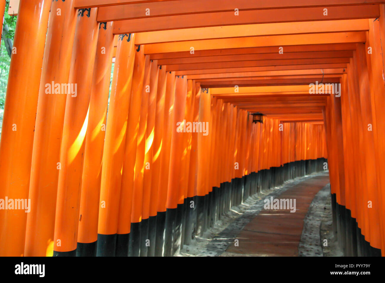 Torii path at Fushimi Inari Taisha Shrine Stock Photo - Alamy