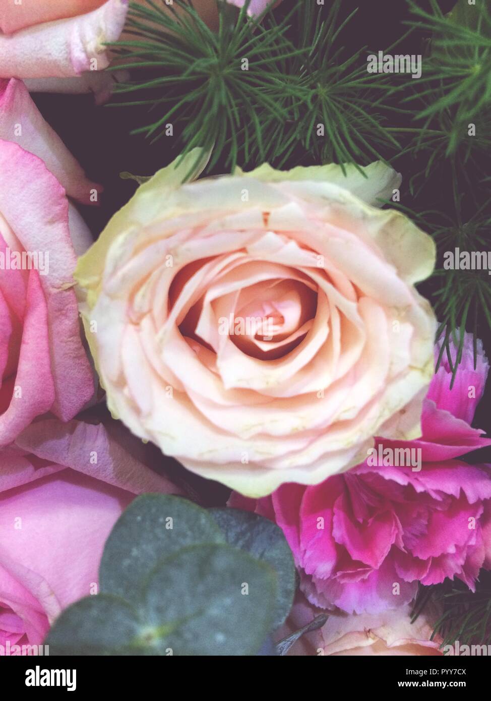 Mixed pink roses in a floral wedding decoration Stock Photo - Alamy
