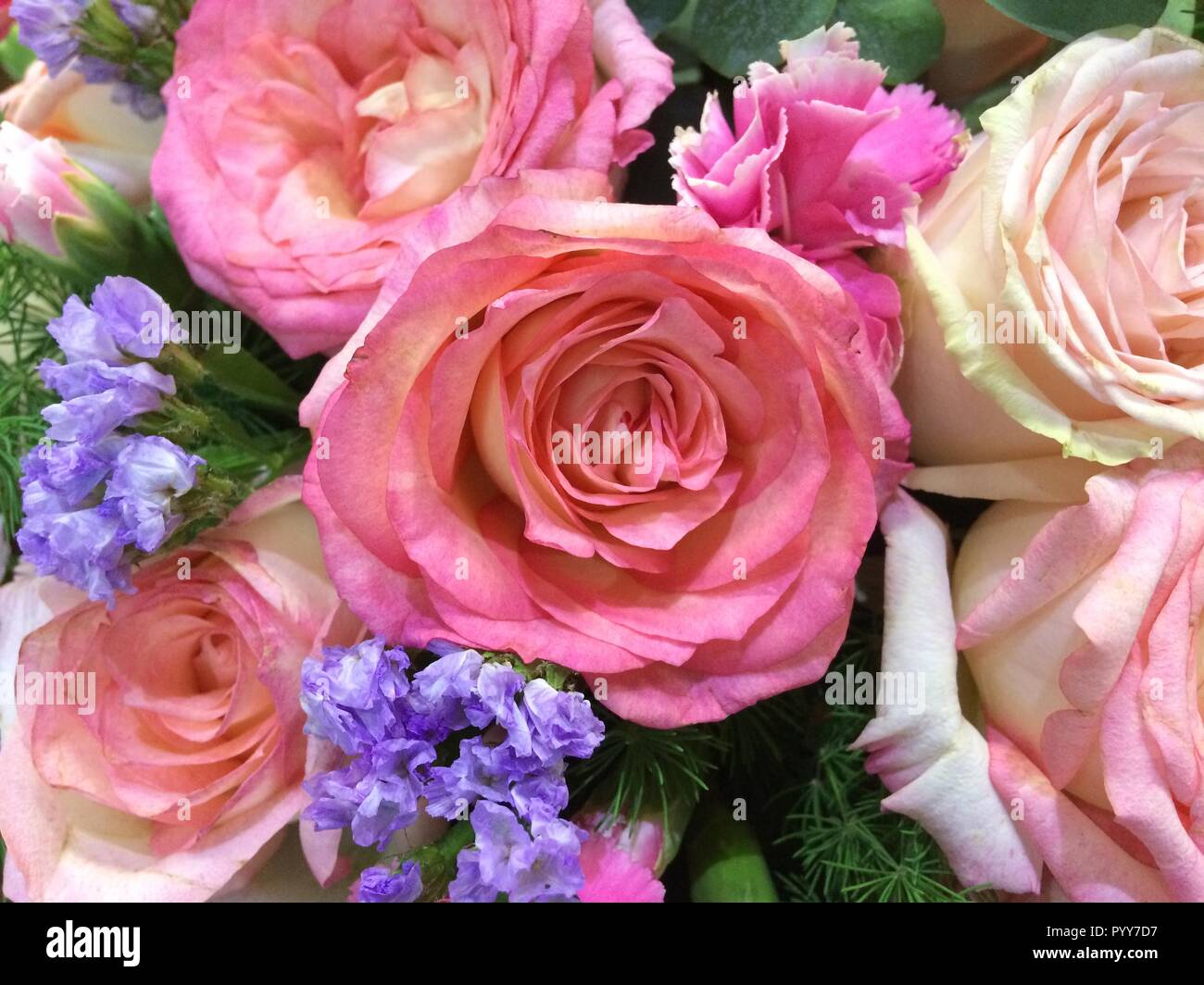 Mixed color roses hi-res stock photography and images - Alamy