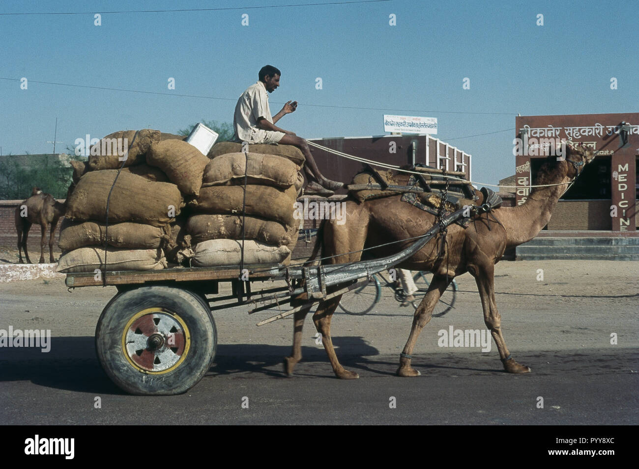 Loaded camel hi-res stock photography and images - Alamy