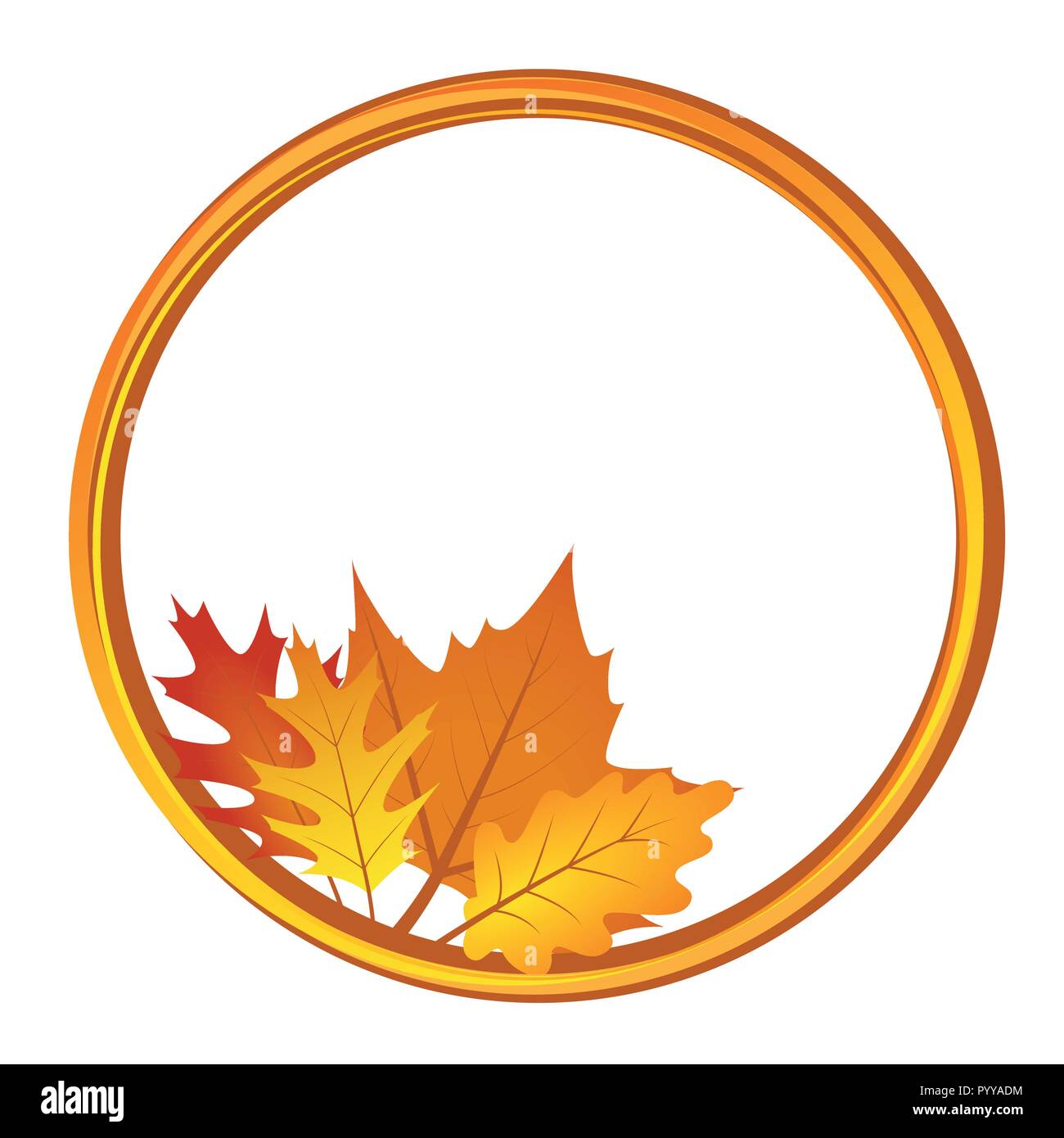 circle with autumn leaves on white background vector illustration EPS10 ...