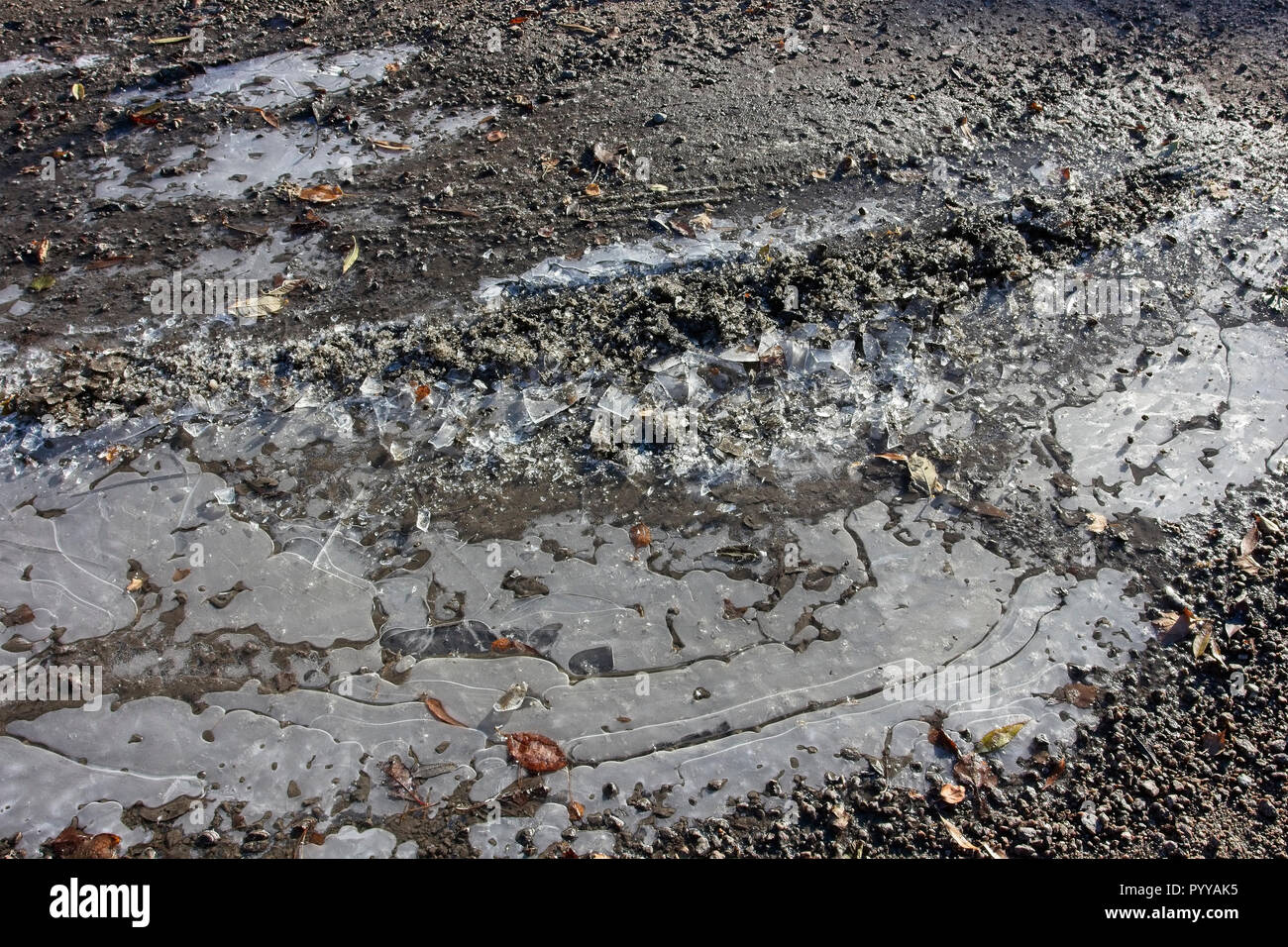 frozen puddle on dirt road Stock Photo - Alamy