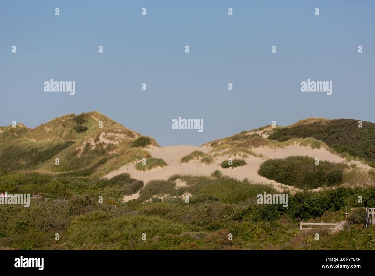 Parabolic dune beach hi-res stock photography and images - Alamy