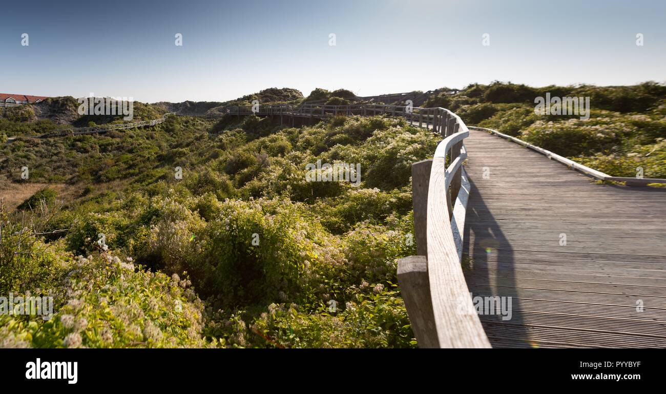 France, Region Hauts de France, Pas de Calais, Cote d'Opale, Merlimont ...