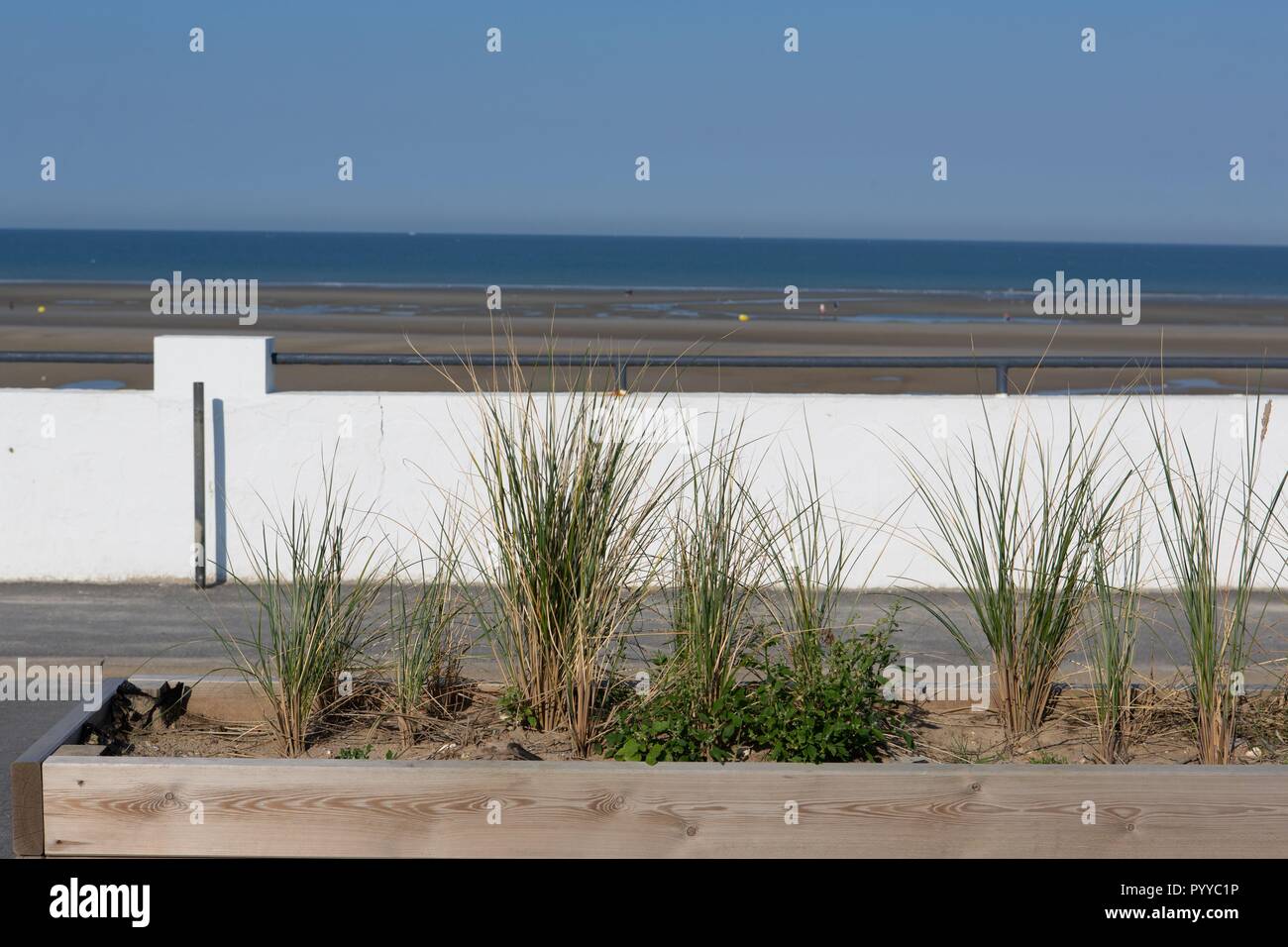 France, Region Hauts de France, Pas de Calais, Cote d'Opale, Merlimont ...