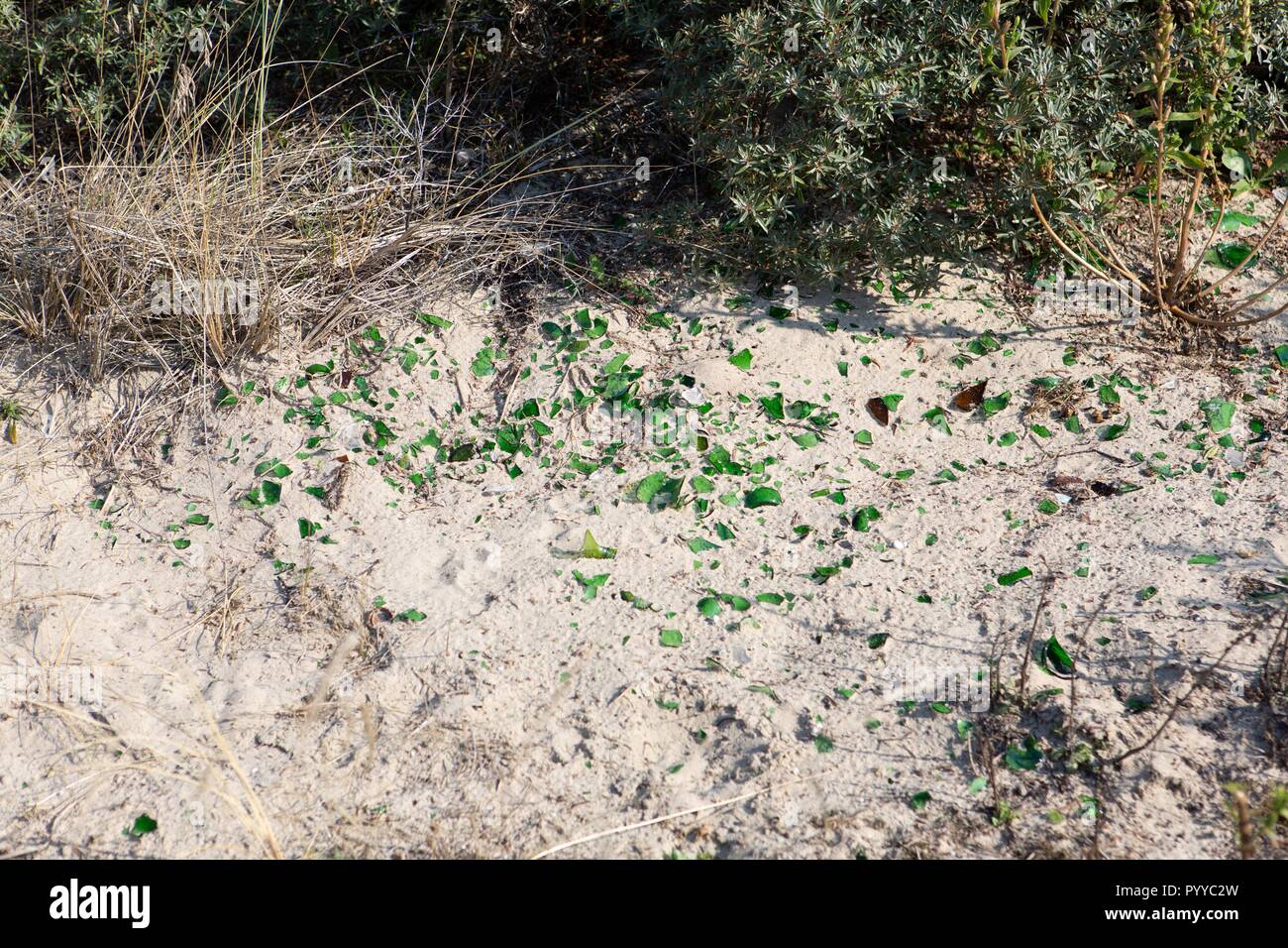 France, Region Hauts de France, Pas de Calais, Cote d'Opale, Merlimont ...