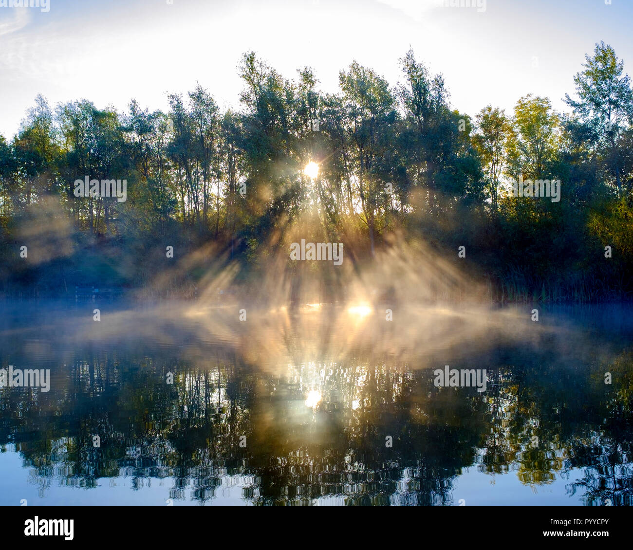 Sun rising through some trees and mist on the water Stock Photo - Alamy