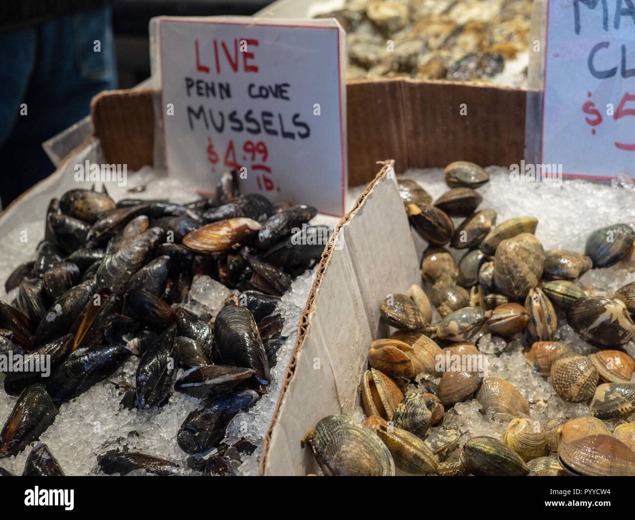 Penn cove mussels hi-res stock photography and images - Alamy