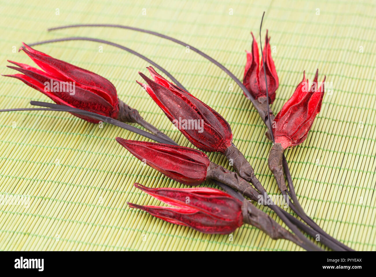 Dried and artificial flowers hi-res stock photography and images - Alamy