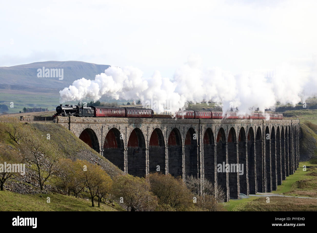 Stanier 8F preserved steam engine on Dalesman special train on 30th ...