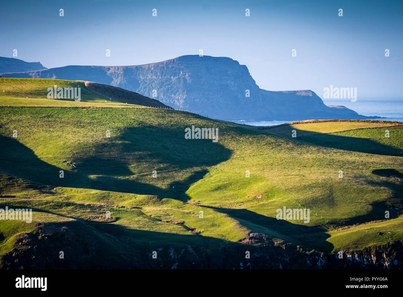 Dunedin panorama hi-res stock photography and images - Alamy