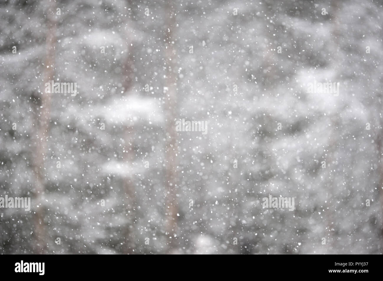 Snowing background hi-res stock photography and images - Alamy