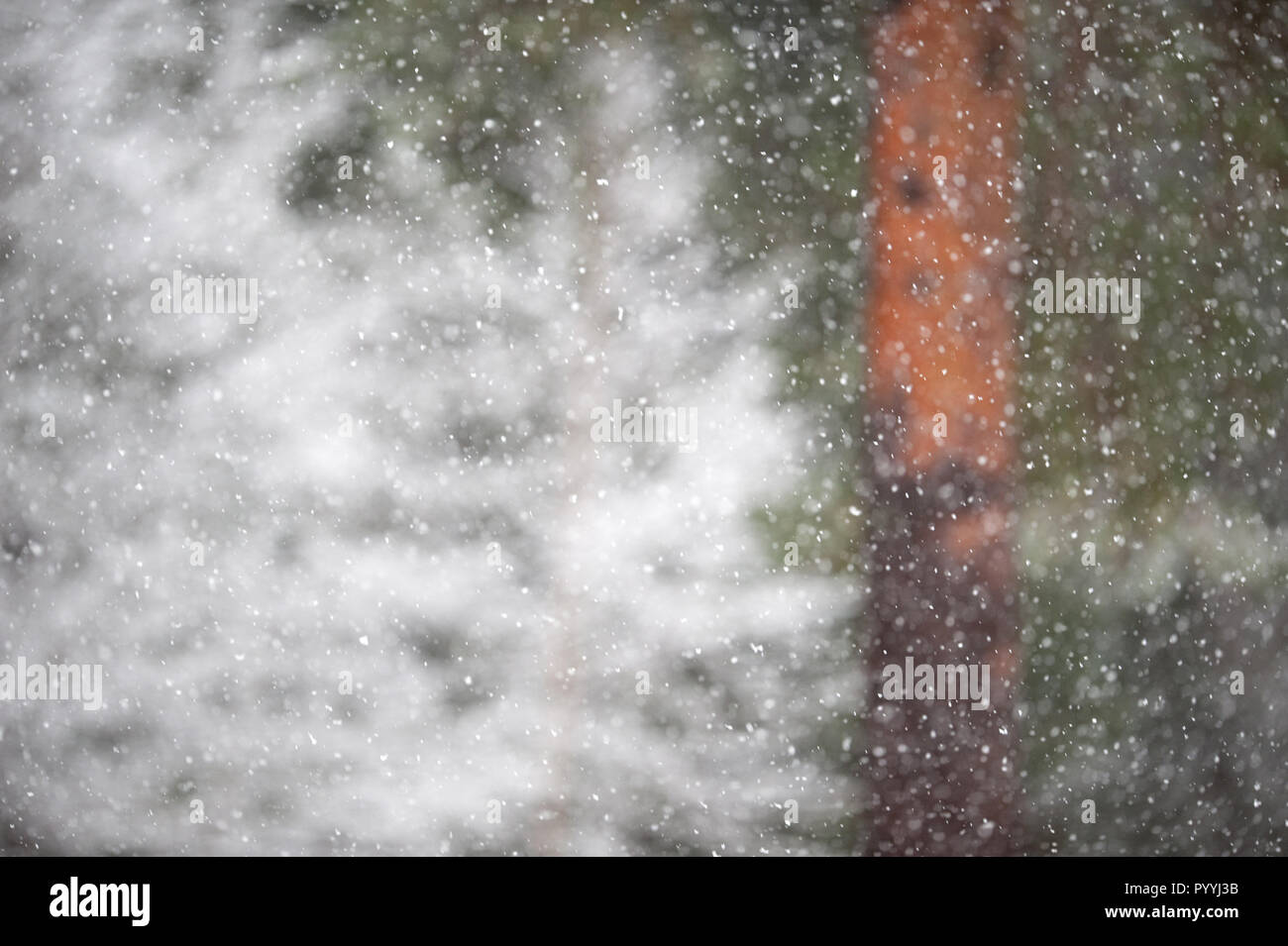 Snowing background hi-res stock photography and images - Alamy