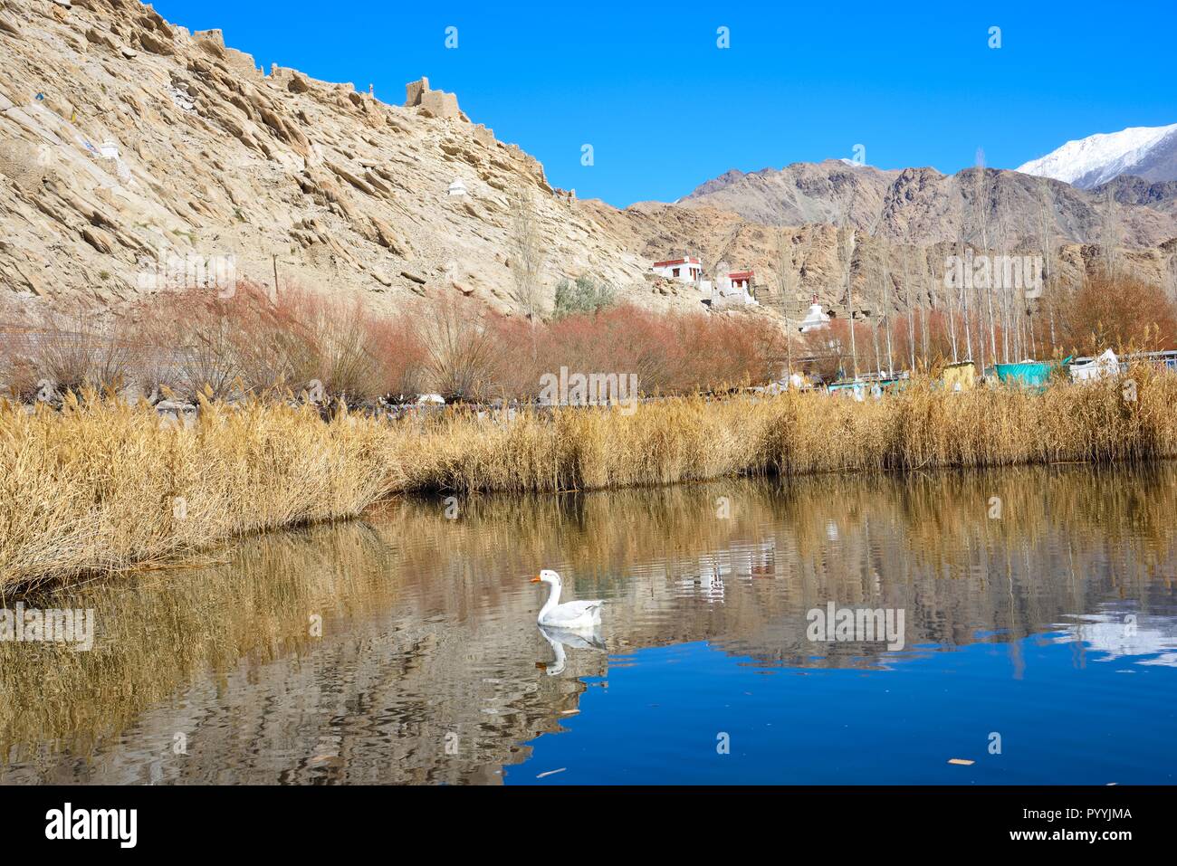 Magical ladakh hi-res stock photography and images - Alamy