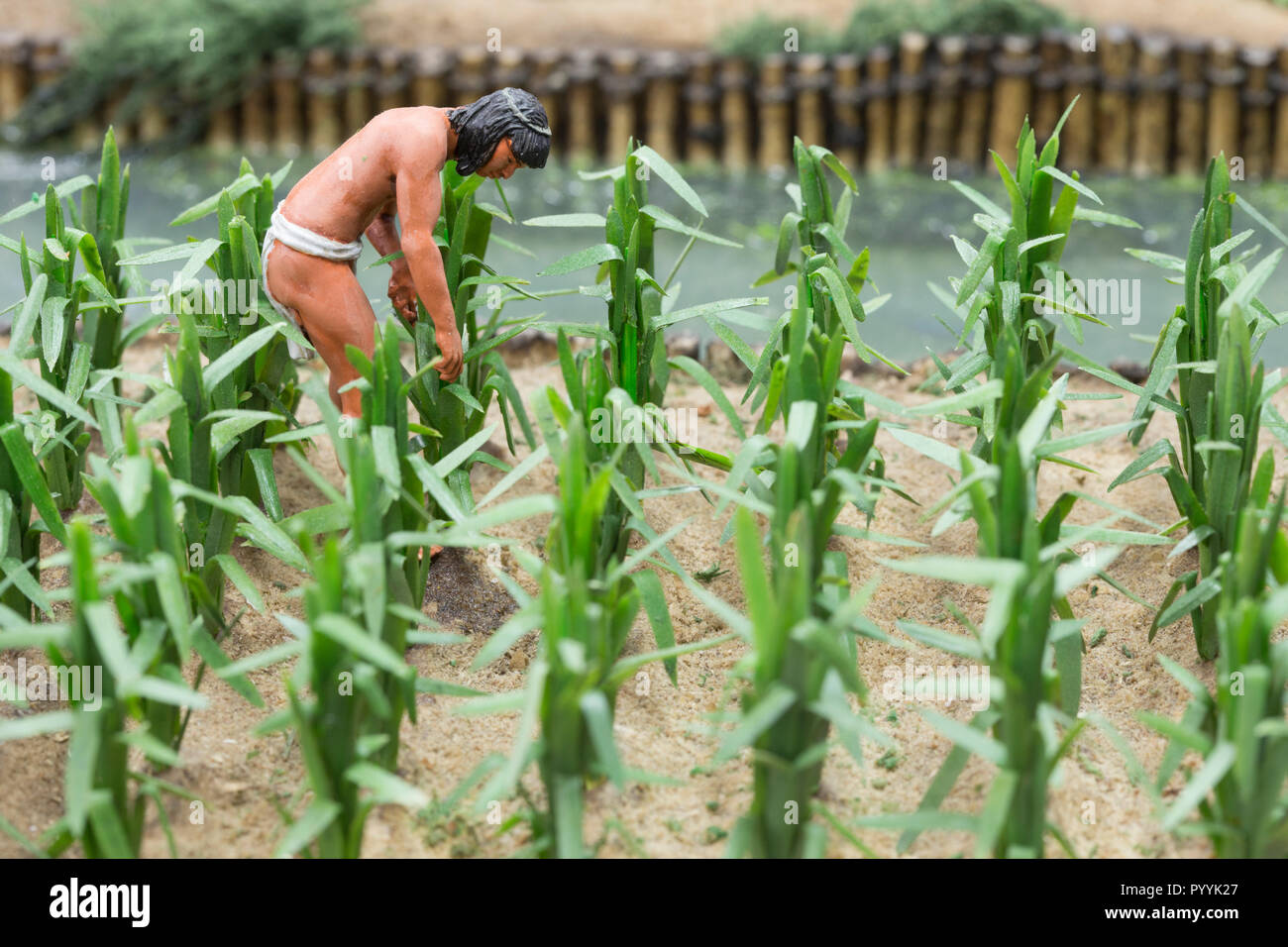 Aztec Gardens Model Stock Photo - Alamy