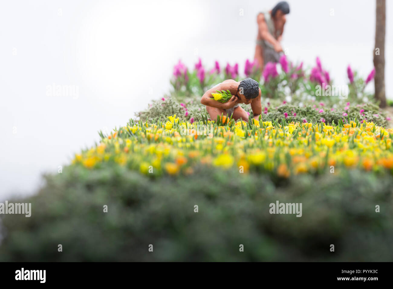 Aztec civilisations hi-res stock photography and images - Alamy