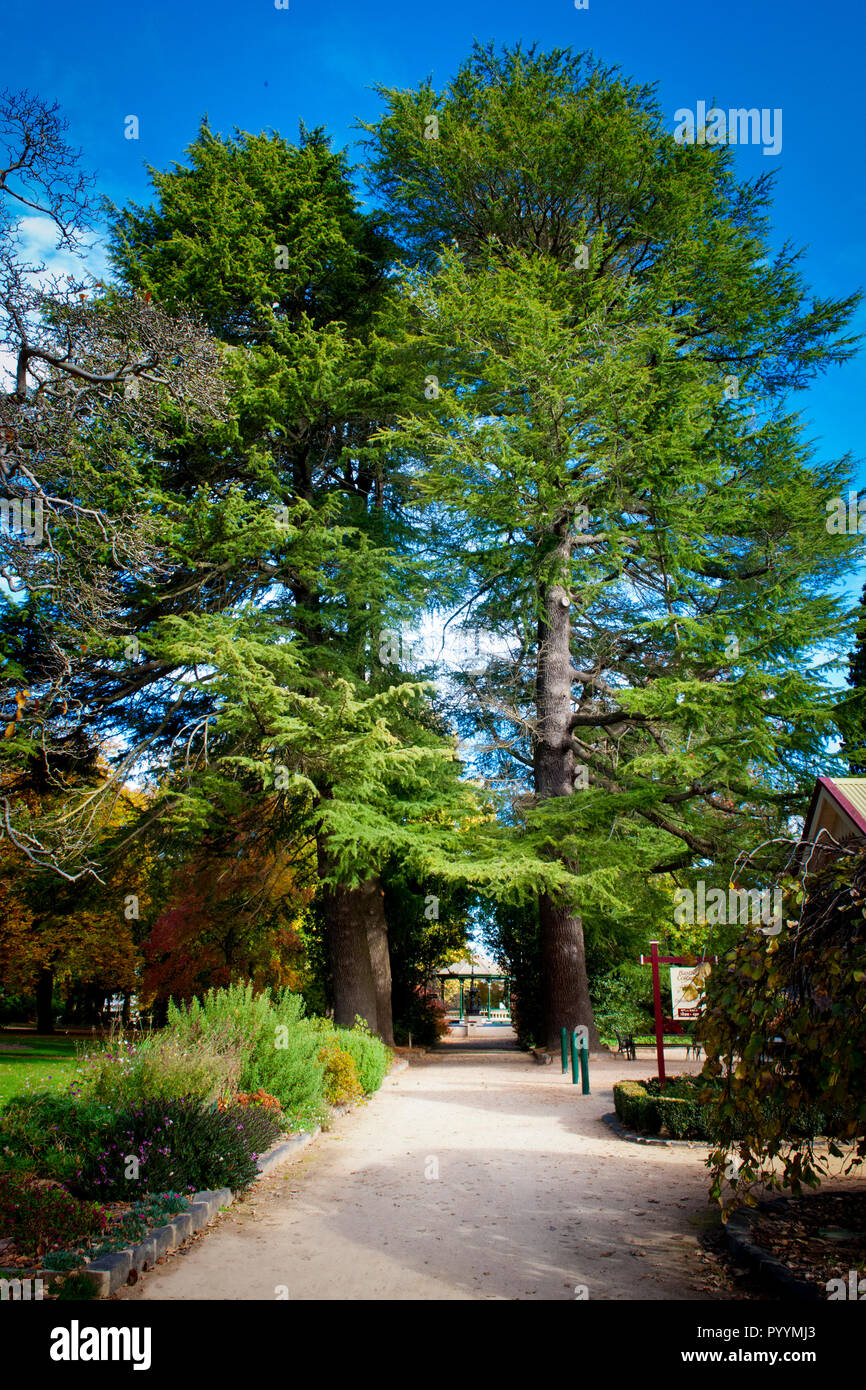 Cook Park is 4.5 hectares of parkland in the heart of Orange. Built ...