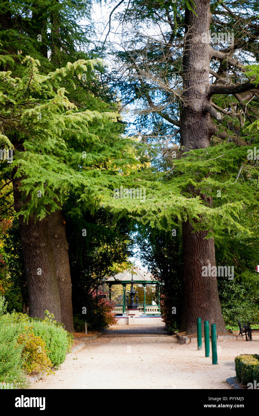 Cook Park is 4.5 hectares of parkland in the heart of Orange. Built ...