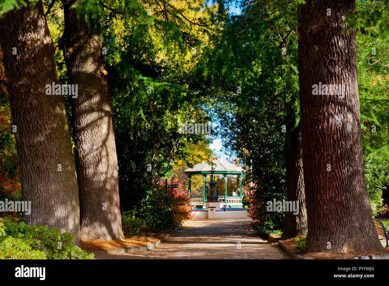 Cook Park is 4.5 hectares of parkland in the heart of Orange. Built ...