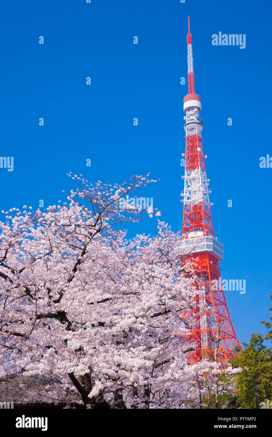 Daimon tokyo hi-res stock photography and images - Alamy