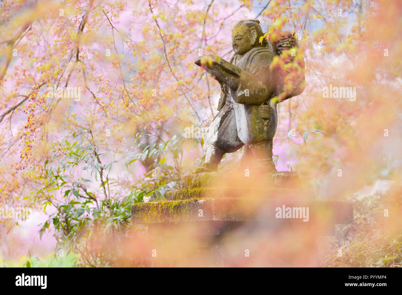 Sontoku ninomiya hi-res stock photography and images - Alamy