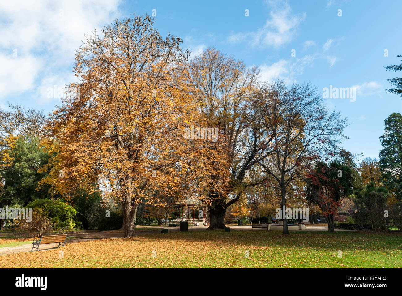 Cook Park is 4.5 hectares of parkland in the heart of Orange. Built ...