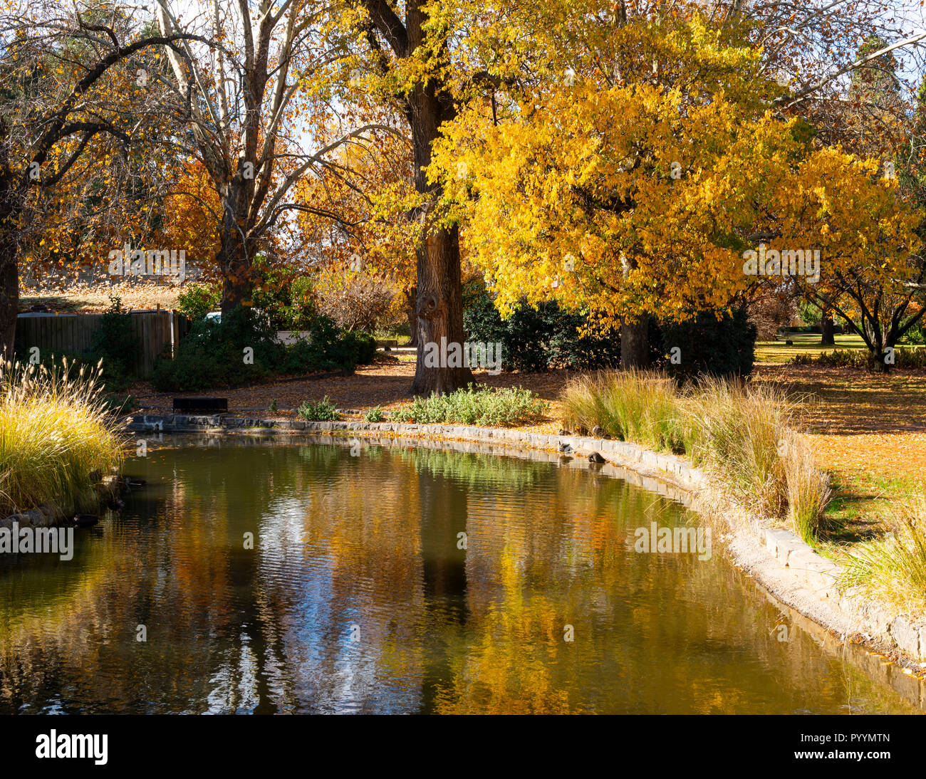Cook Park is 4.5 hectares of parkland in the heart of Orange. Built ...