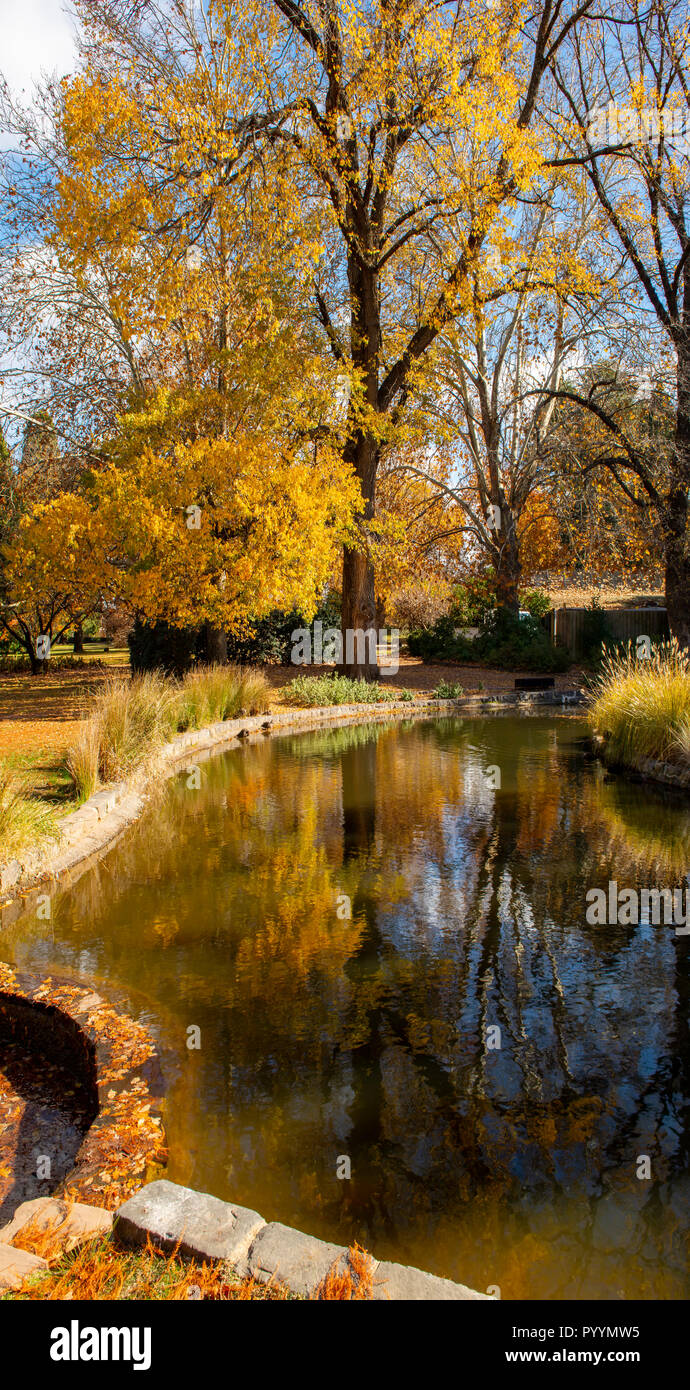 Cook Park is 4.5 hectares of parkland in the heart of Orange. Built ...