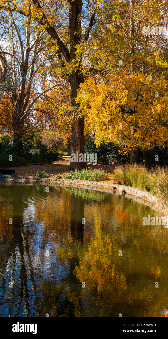 Cook Park is 4.5 hectares of parkland in the heart of Orange. Built ...