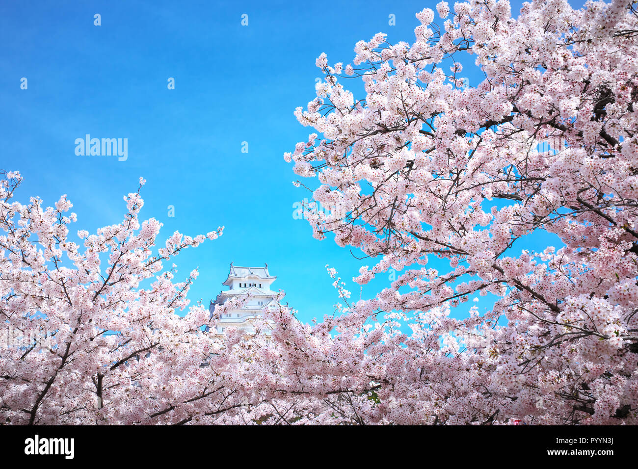 Hyogo cultural heritage hi-res stock photography and images - Alamy