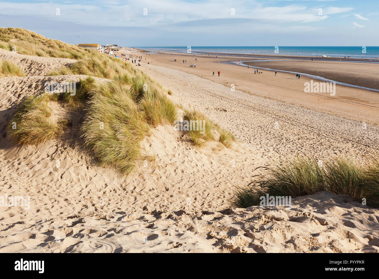 English rye grass hi-res stock photography and images - Alamy