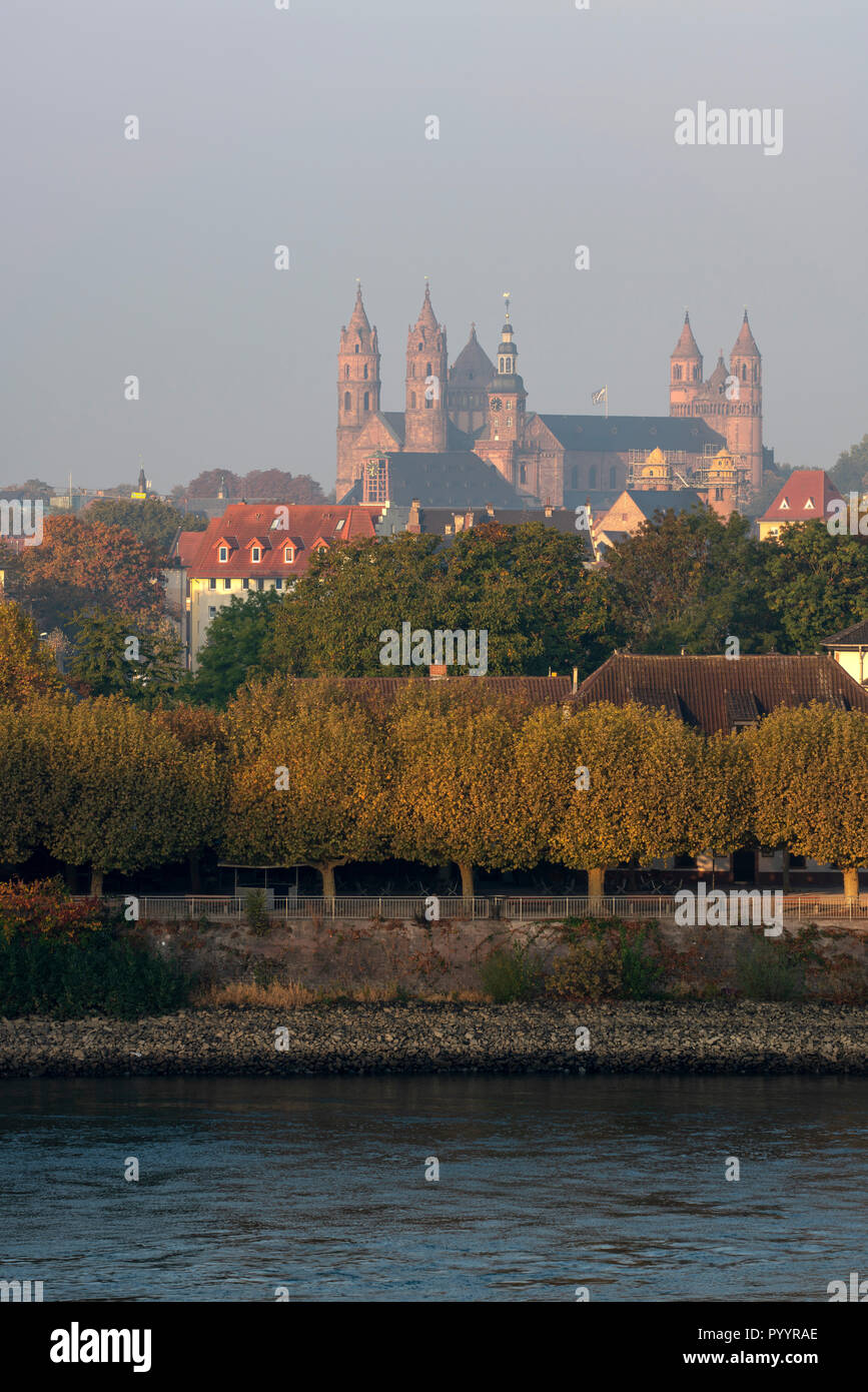 Worms, Dom St. Peter, Blick von Nordosten über den Rhein Stock Photo ...