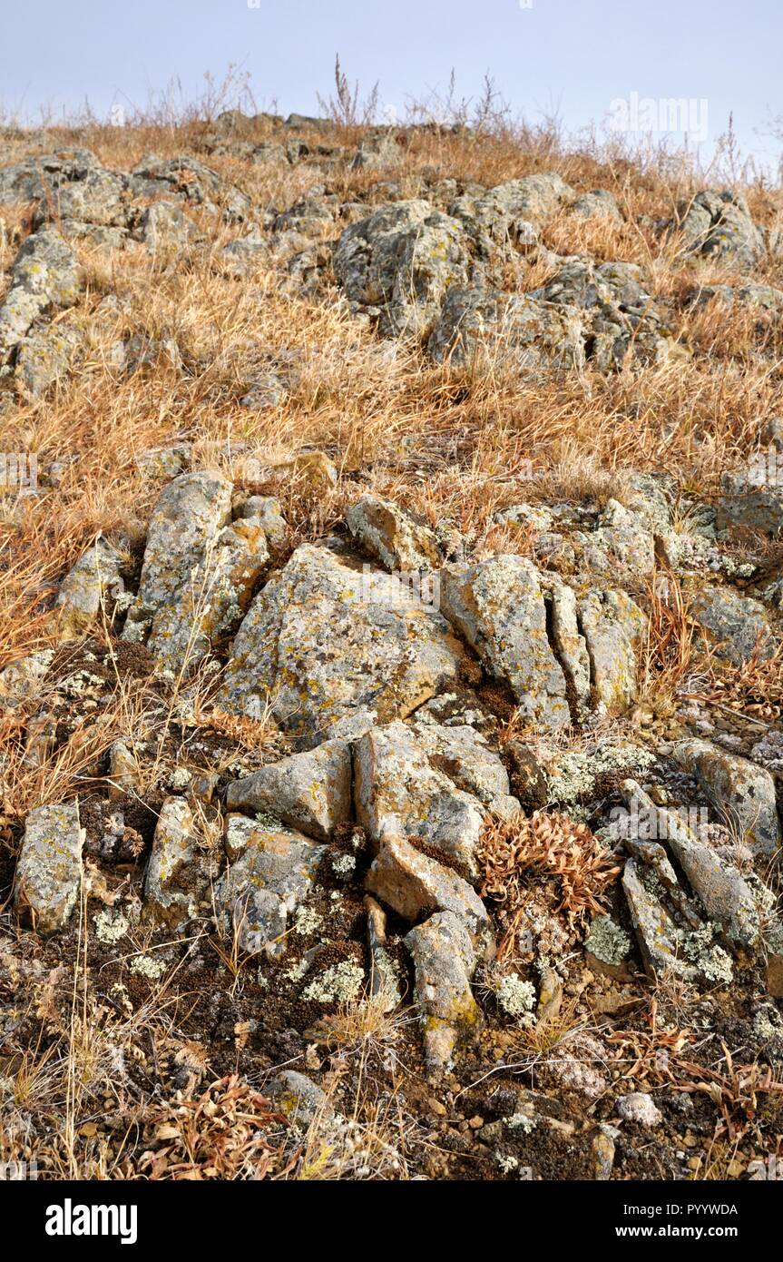 Lichen On Rock Rocks High Resolution Stock Photography and Images - Alamy