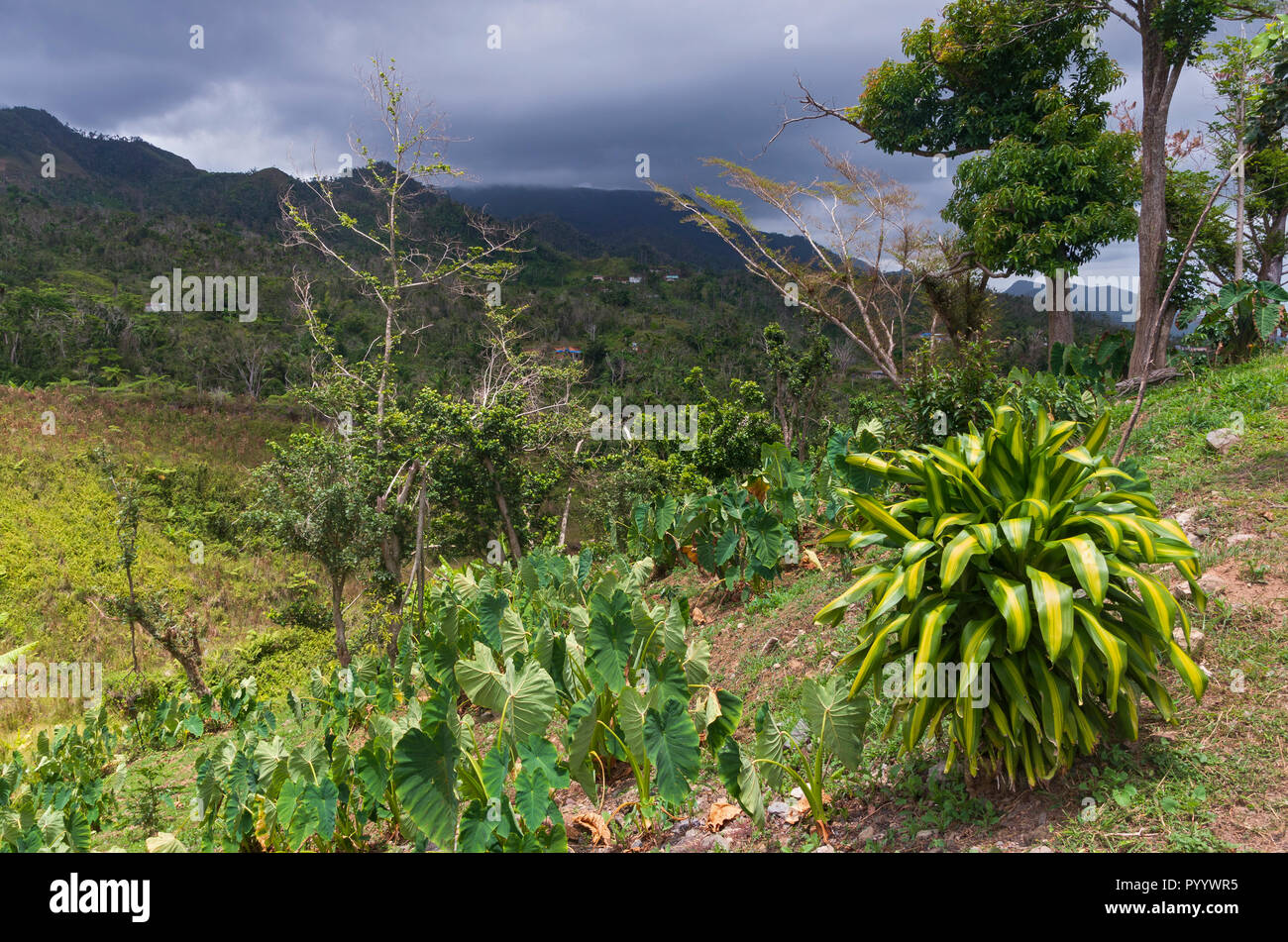 mountain range of cordillera central under storm clouds and sunny ...