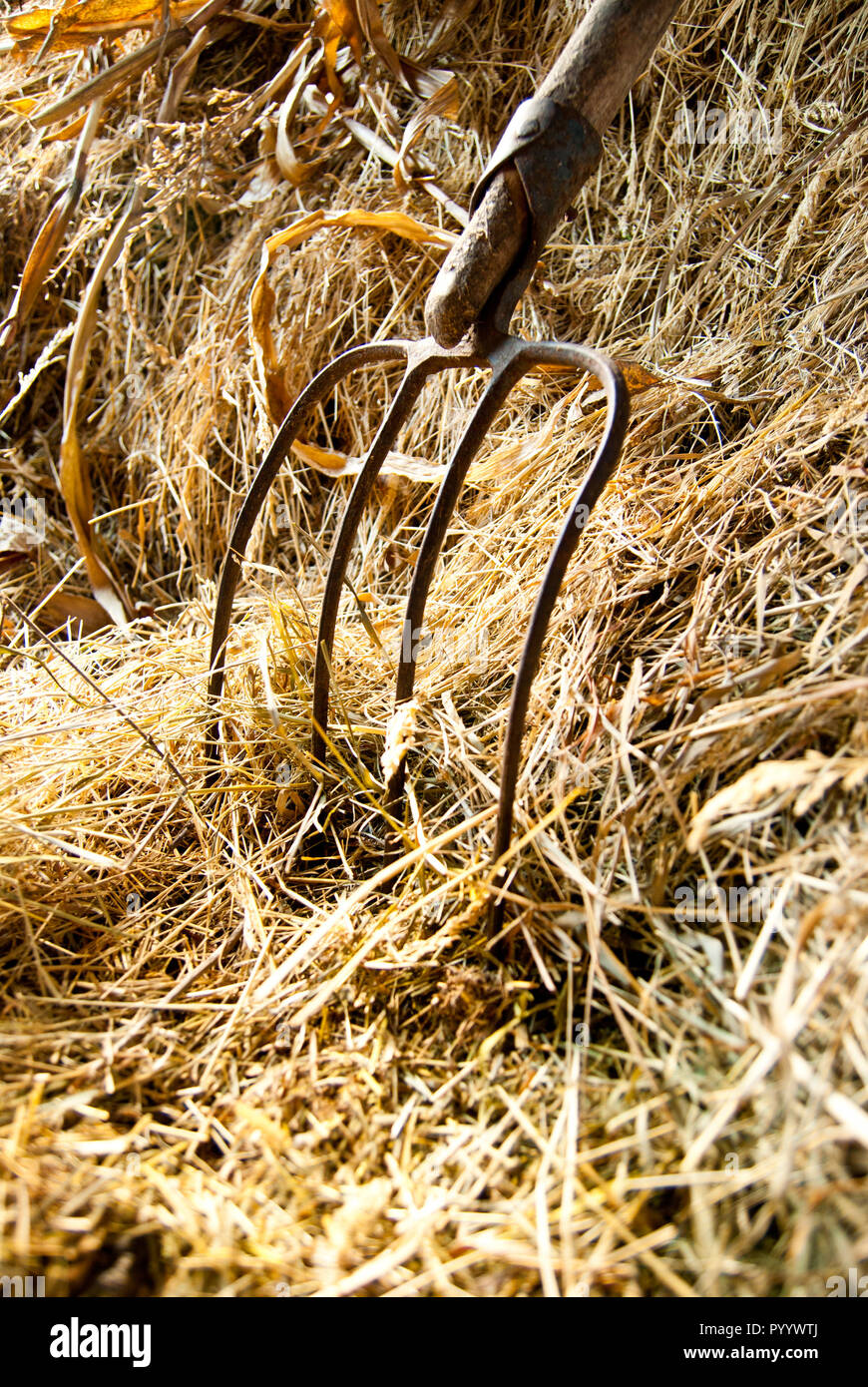Tool farm hay pitchfork straw hi-res stock photography and images - Alamy
