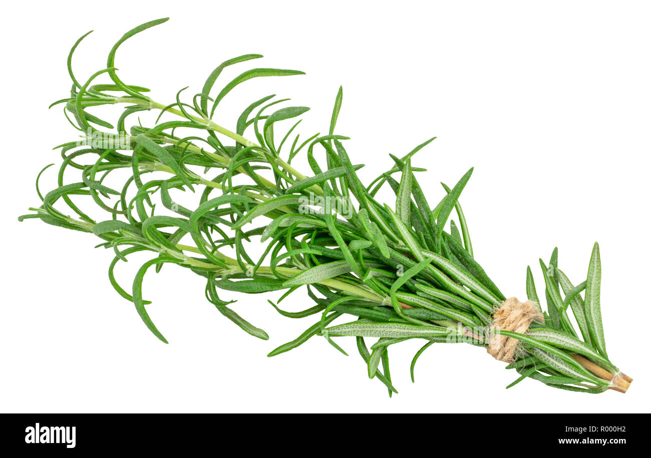 green fresh rosemary isolated on white background Stock Photo - Alamy