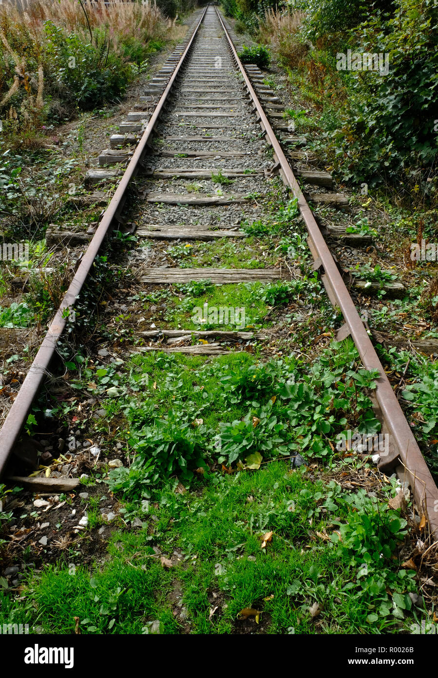 Overgrown railway track hi-res stock photography and images - Alamy