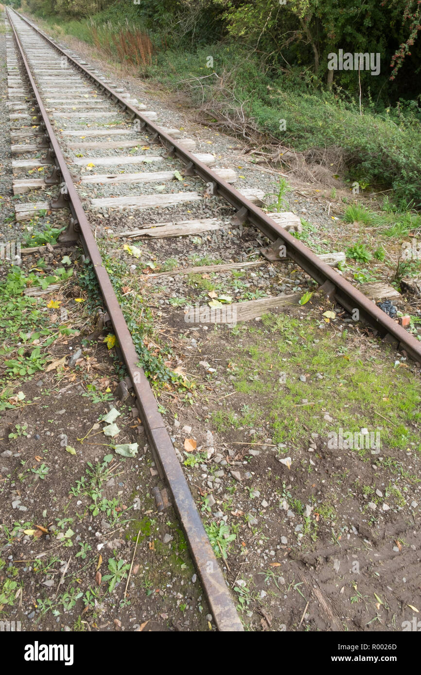 Overgrown railway track hi-res stock photography and images - Alamy