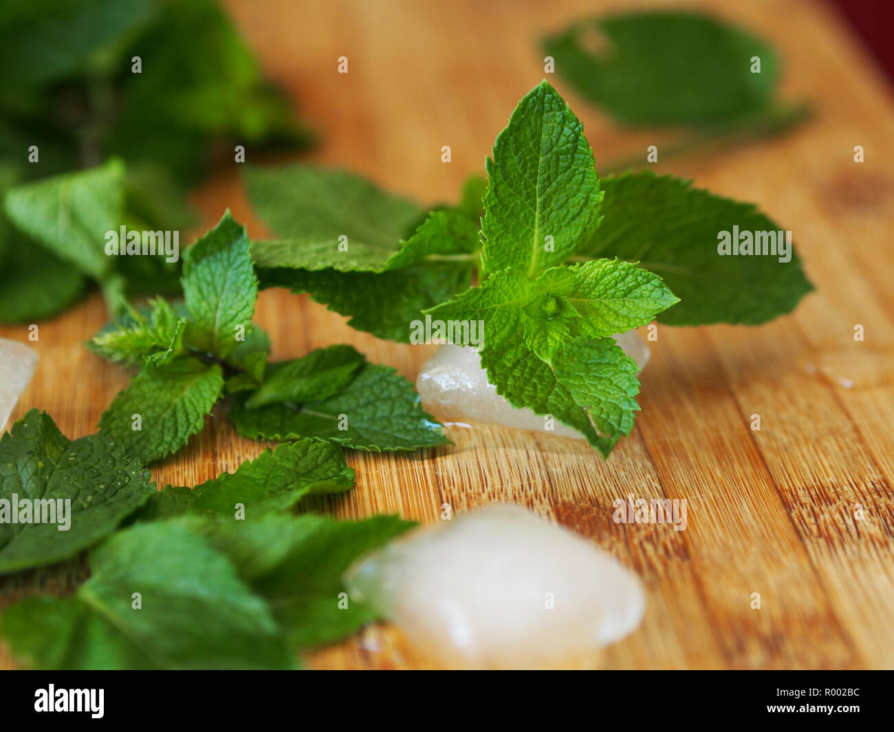 Cool mint hi-res stock photography and images - Alamy