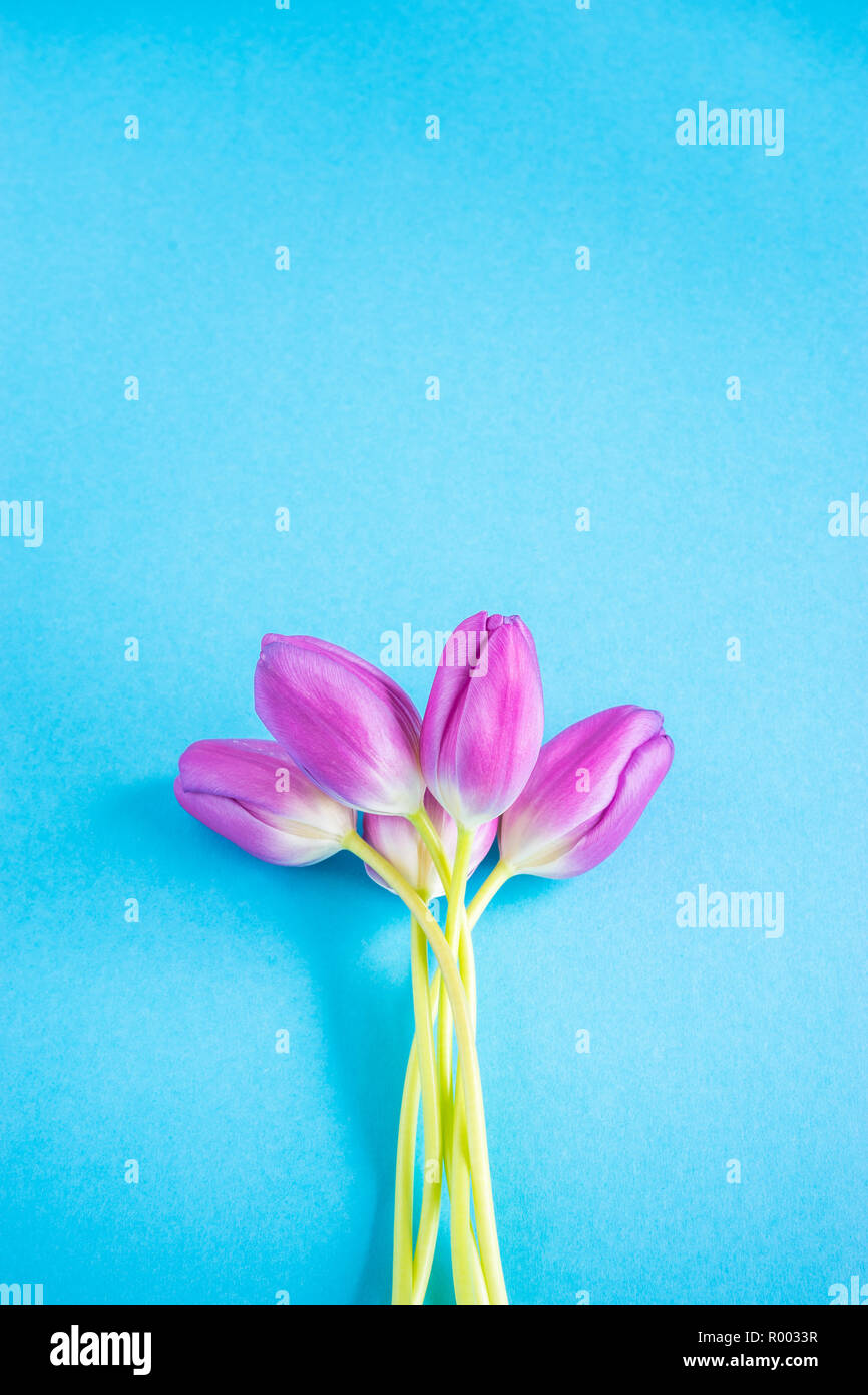 Light blue colours hi-res stock photography and images - Alamy
