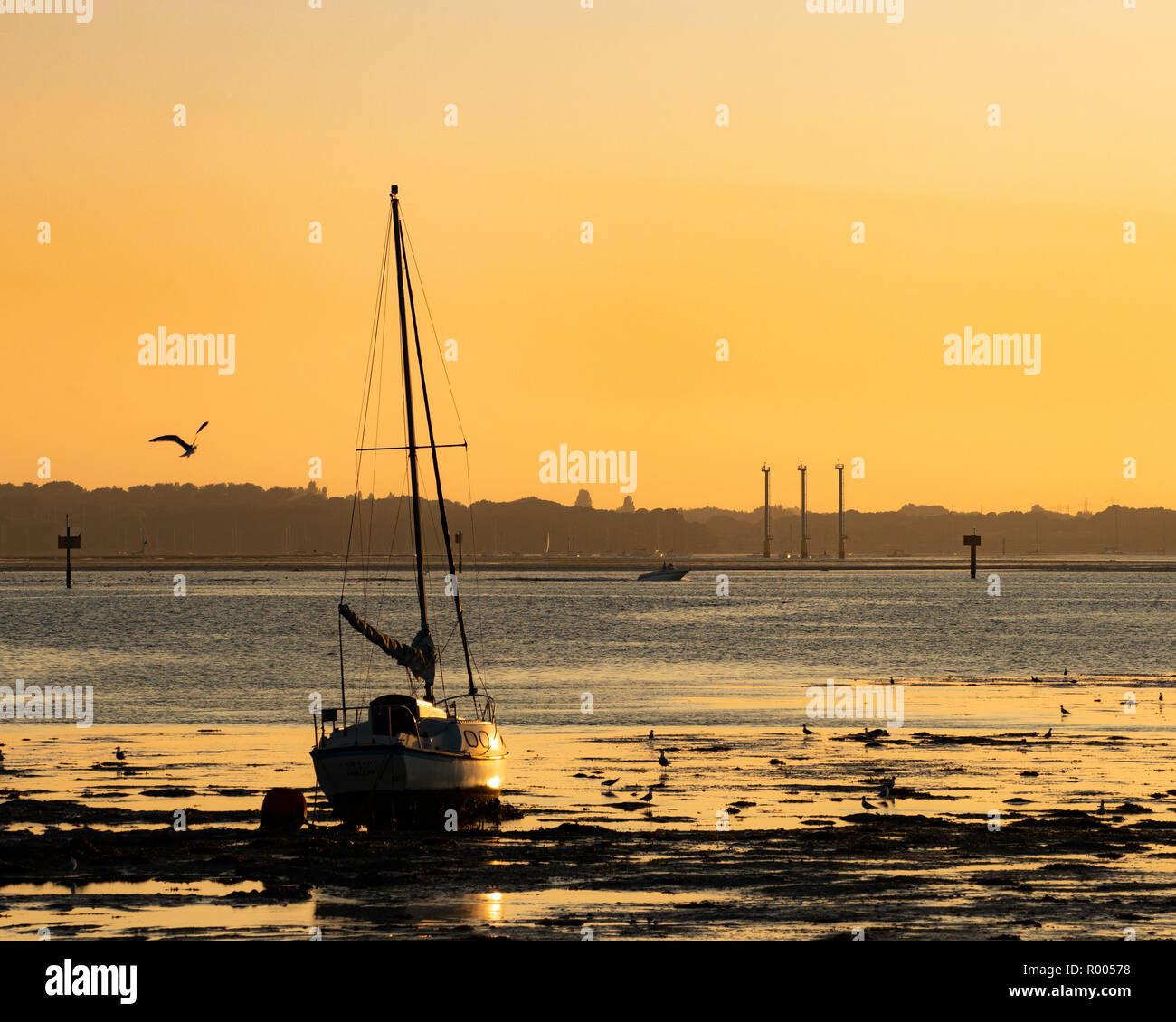 Flying around sailing yacht in hi-res stock photography and images - Alamy