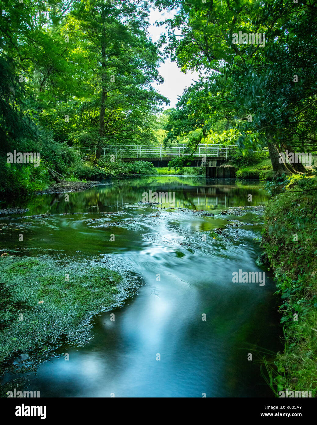 water flowing down a river in the English countryside surrounded by ...