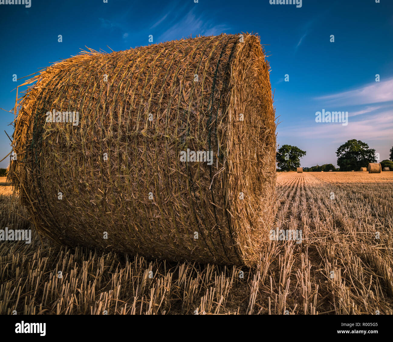 Hay cutting hi-res stock photography and images - Alamy
