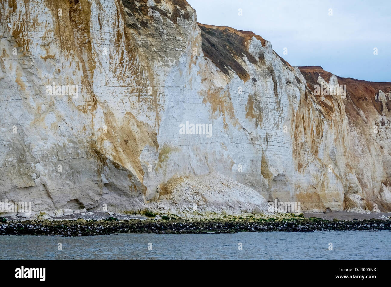 Eroding tall white chalk cliff face, at the bottom of the cliff is a ...