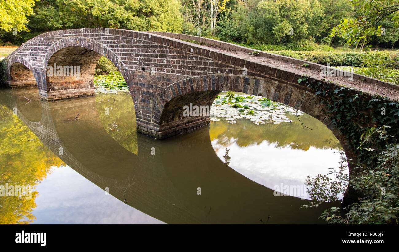 Leigh park gardens hi-res stock photography and images - Alamy