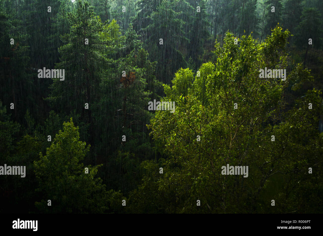 Heavy rain in afternoon hi-res stock photography and images - Alamy